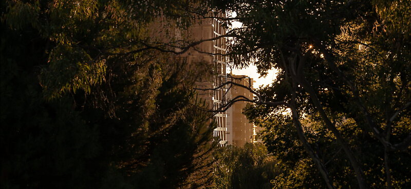 Leading Australian Film, 3D and Experience Company | Flood